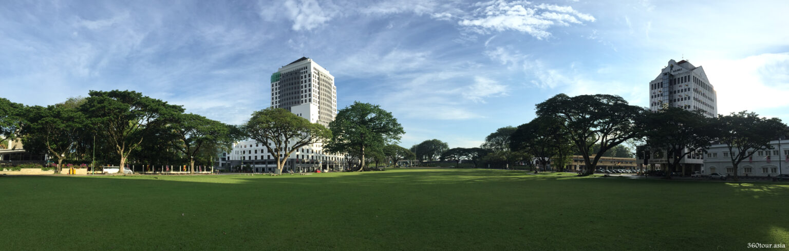 Heritage Tree of Kuching: The Silk-Cotton Tree at Merdeka Square ...