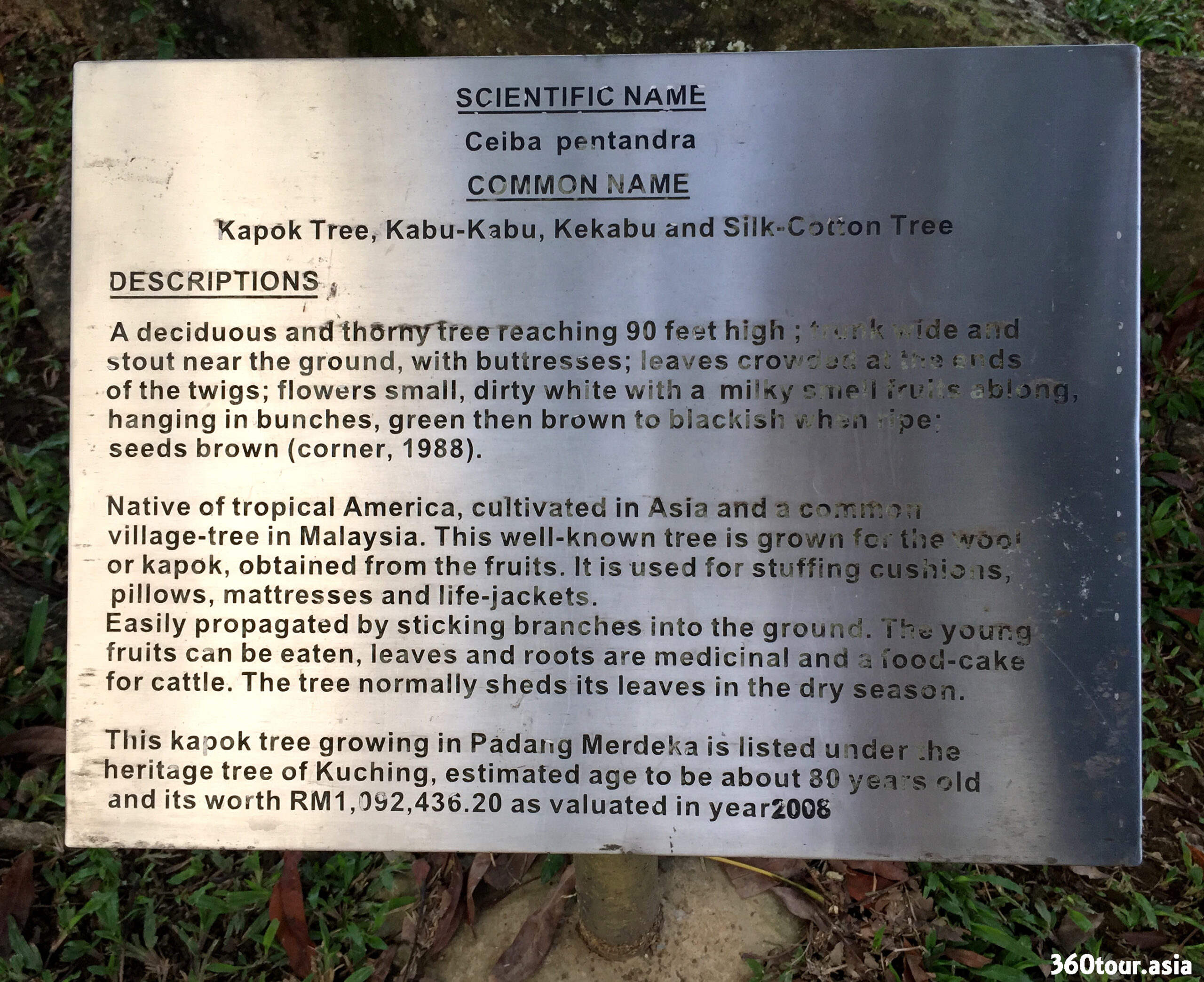 The Description PlateThe Inscription Plate Below the Silk-Cotton Tree ...