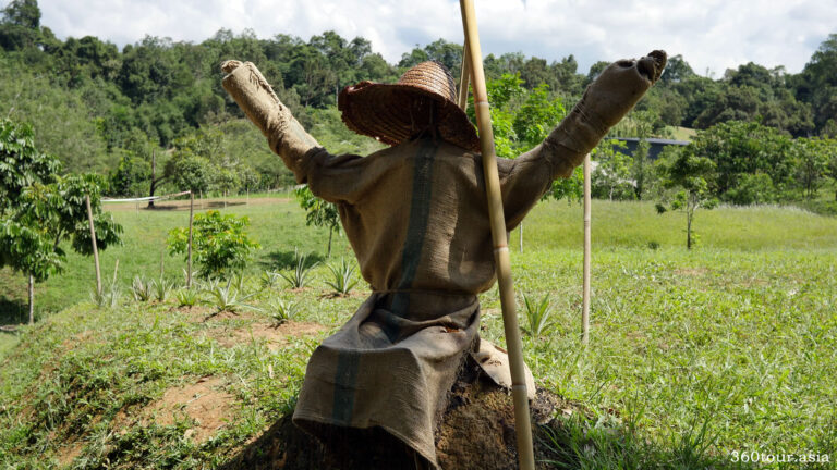 Borneo Happy Farm | 360Tour.Asia