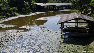 Borneo Happy Farm at Kuching | 360Tour.Asia