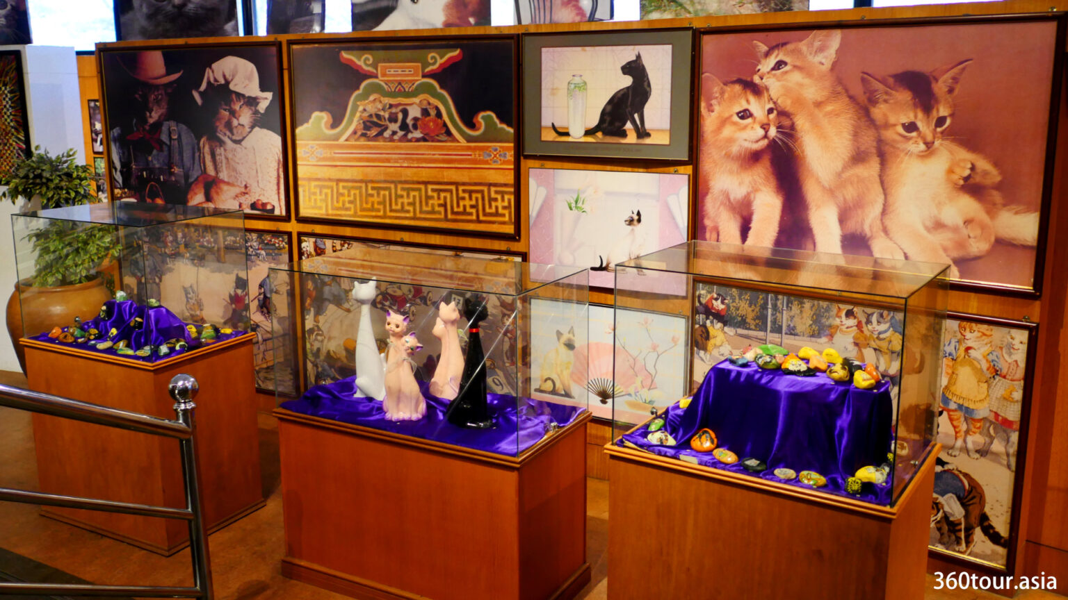 Kuching Cat Museum – The world’s First and Largest Cat Museum | 360Tour ...