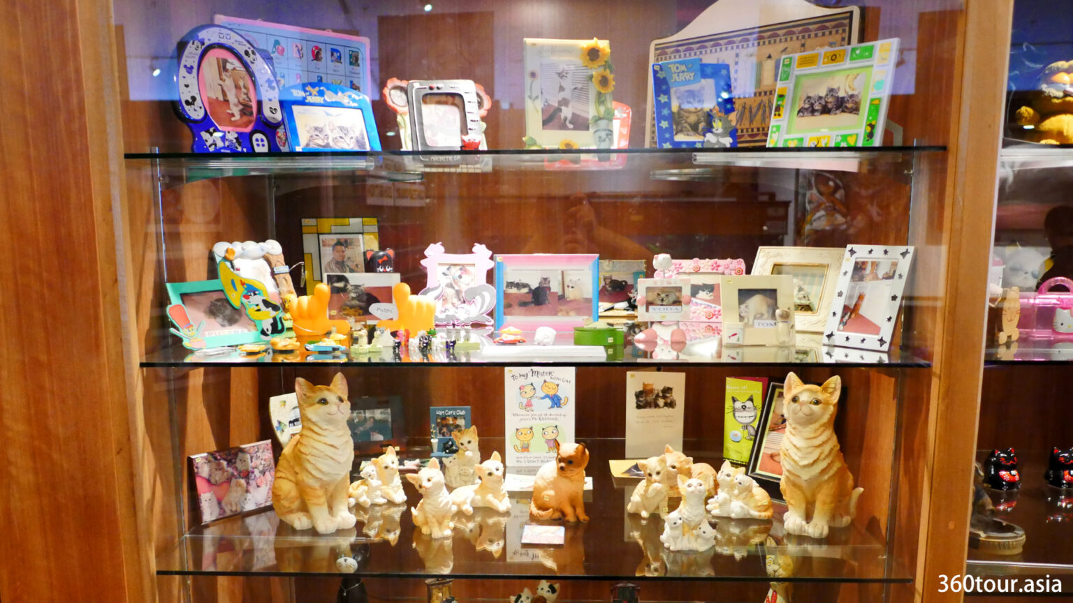 Kuching Cat Museum – The world’s First and Largest Cat Museum | 360Tour ...