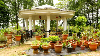 Pitcher Plant Garden at Kota Padawan Kuching Sarawak | 360Tour.Asia